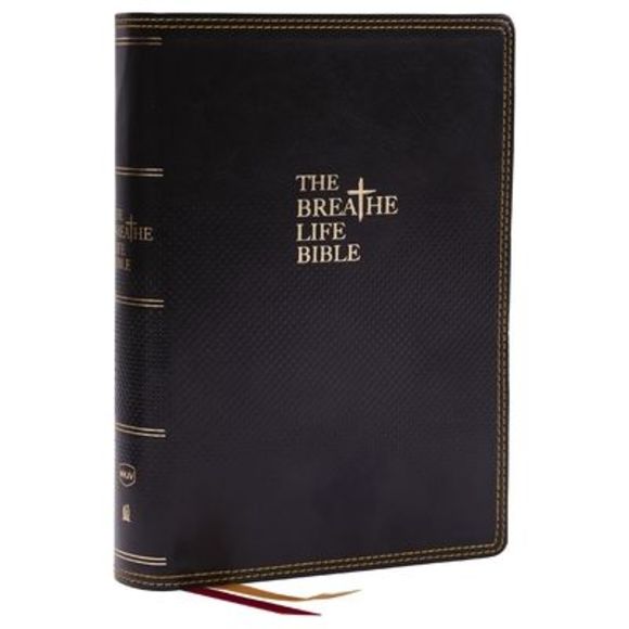Michele Clark Jenkins | Other | The Breathe Life Holy Bible Faith In ...